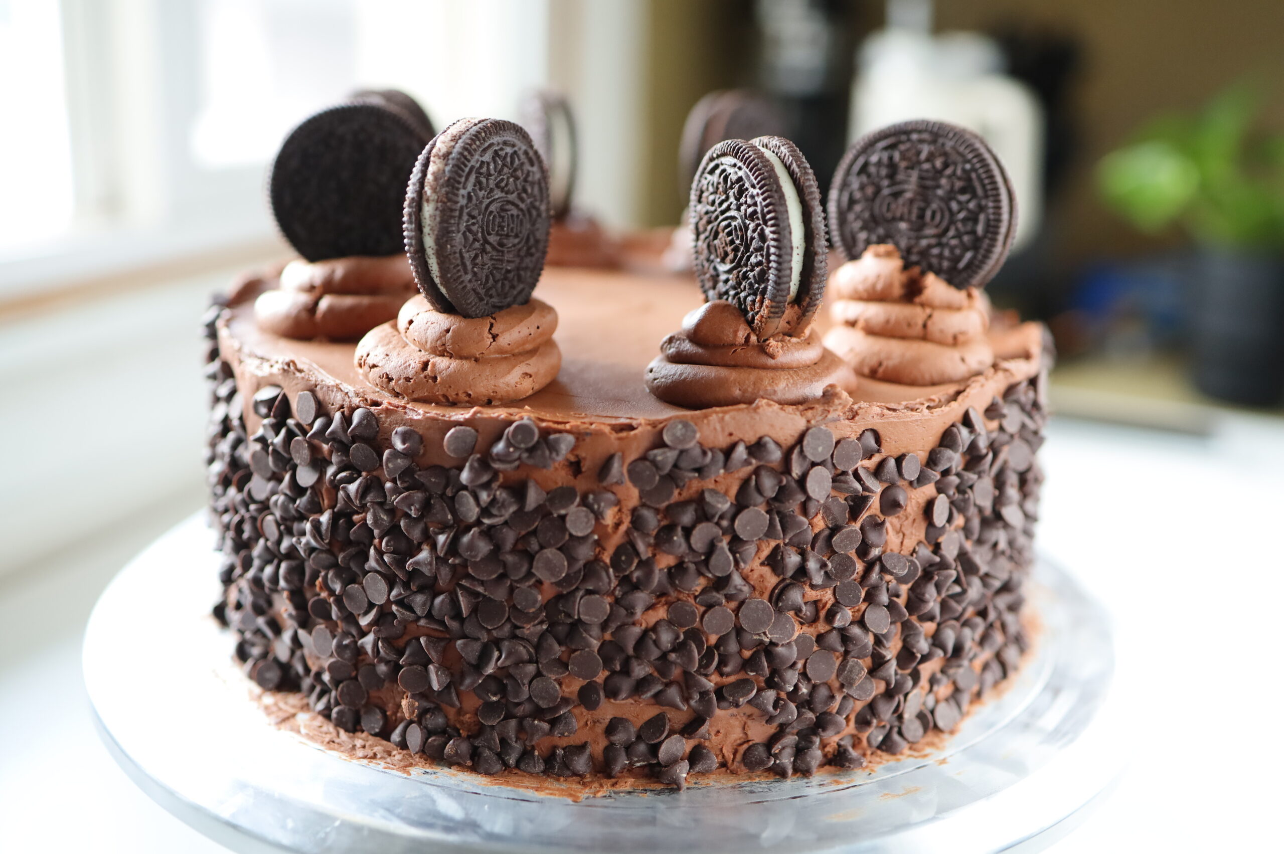 Oreo Dream Extreme Cheesecake Copycat - Cook Family Kitchen